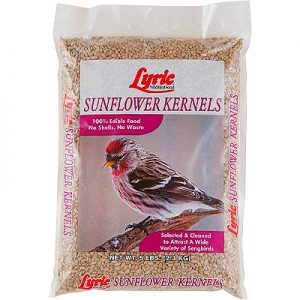 11 Best Bird Seeds in 2022 (to Attract Songbirds) - World Birds