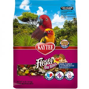 12 Best Parrot Foods to Keep Your Birds Healthy | World Birds