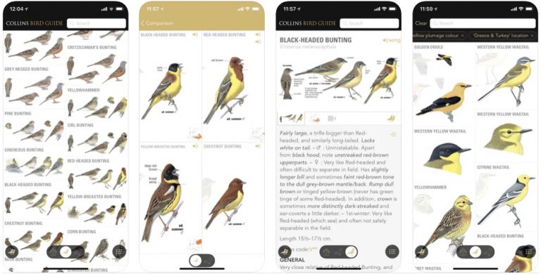 15 Best Birding Apps to Download Today (iOS & Android) | World Birds